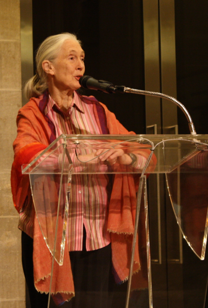 Jane Goodall - whatiwannaknow.com